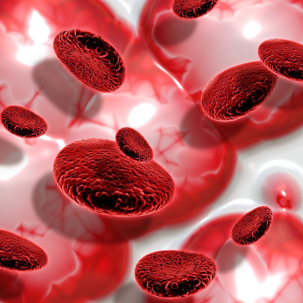WHAT ARE THE POTENTIAL RISKS OF HIGH BLOOD FAT? - OPC PHARMA